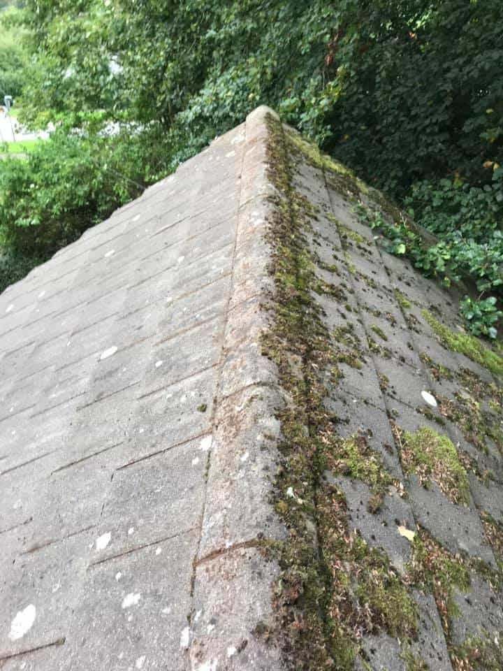 Roof Cleaning and Moss Removal - Pristine Clean