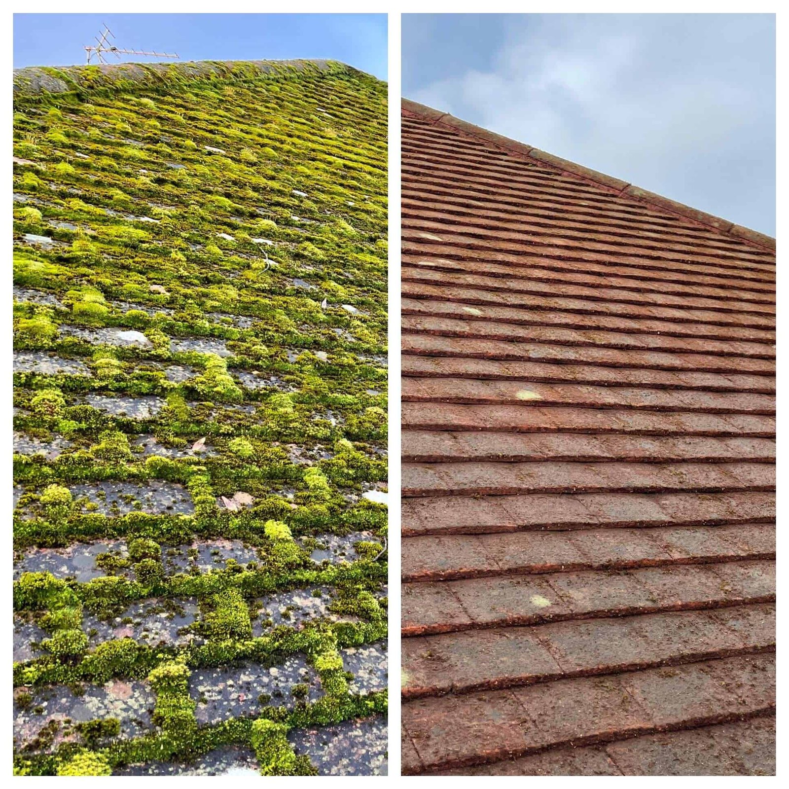 Roof Cleaning and Moss Removal – Pristine Clean